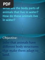 Animal Body Parts for Land Survival | PDF | Language Arts & Discipline