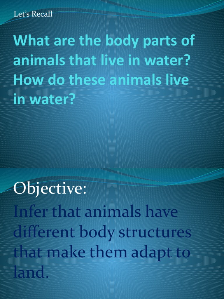 Lesson 21 Body Parts of Animals That Live On Land | PDF | Language Arts ...