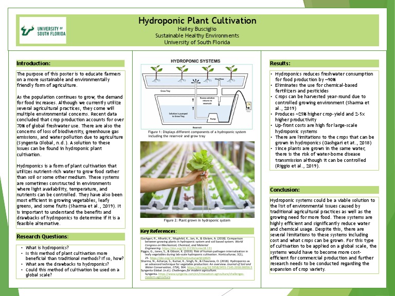 Hydroponic Plant Cultivation Poster | PDF | Agriculture | Hydroponics