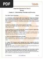 Grade 12 Physics 1st Term Exam Paper | PDF | Inductor | Magnetic Field