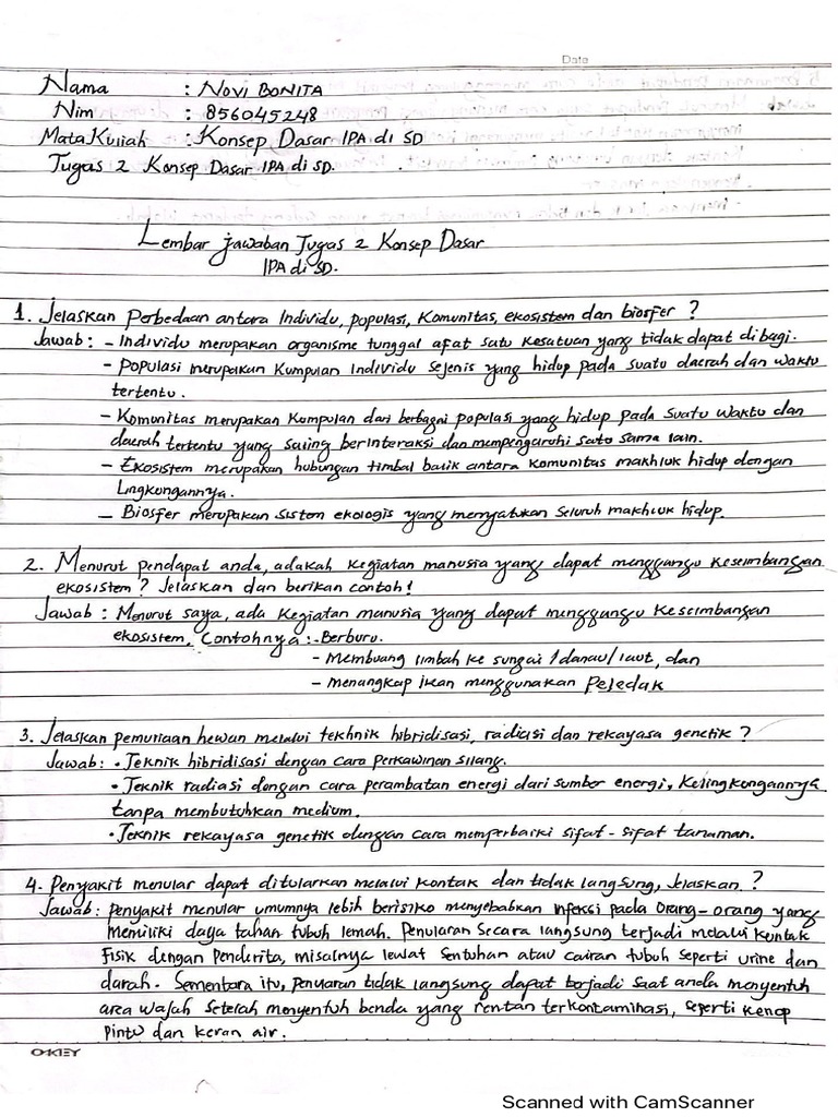 TT2 Ipa - Novibonita | PDF