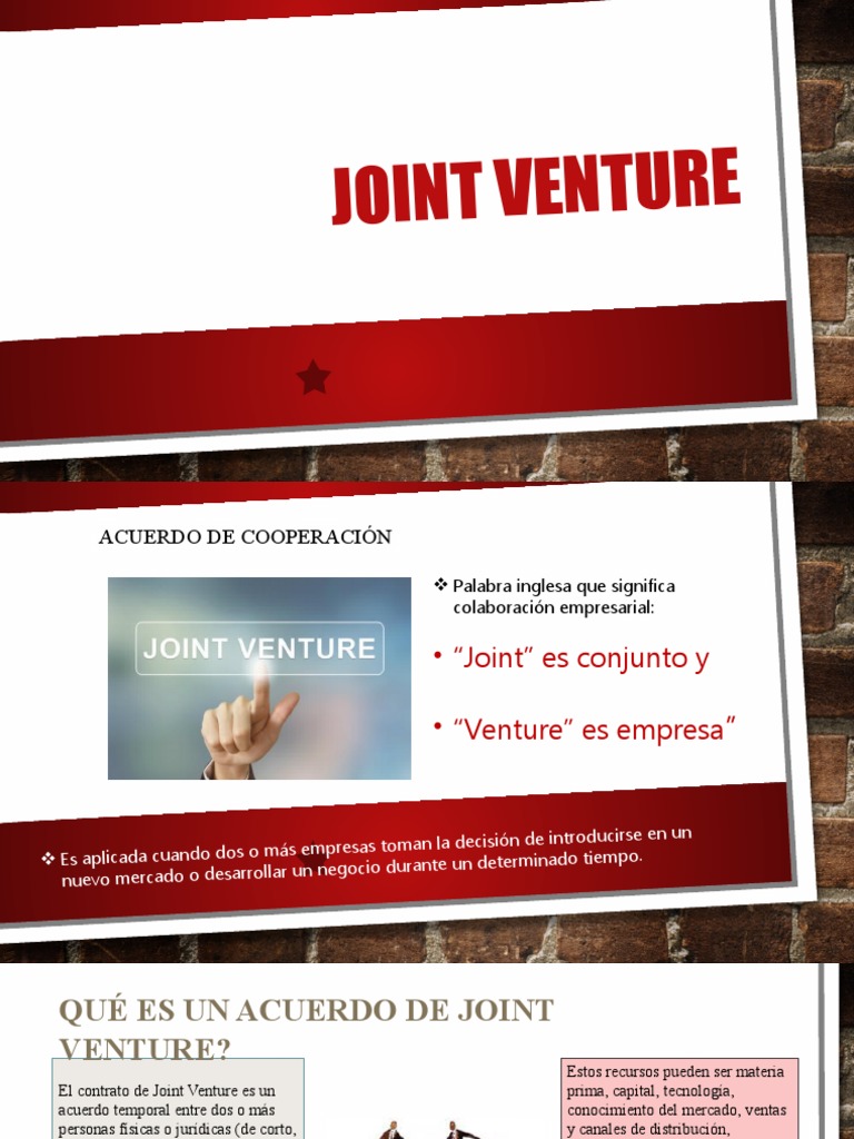Joint Venture | PDF | Proyecto conjunto | Economias