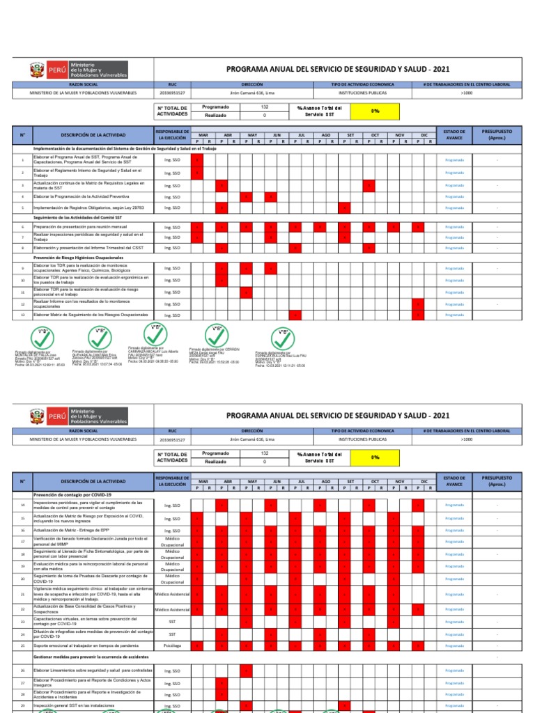 Programa Anual Del Servicio SST 2021 | PDF | Epidemiología | Medicina