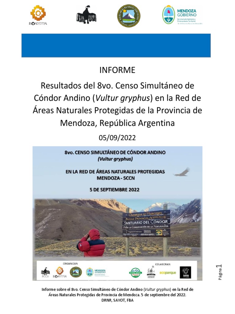 INFORME FINAL 8vo. Censo Simultaneo Condor Andino - Mendoza | PDF ...