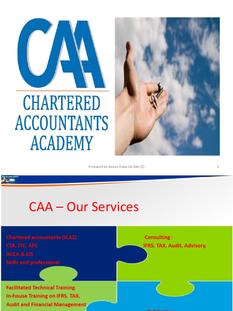 FinAcc 1 - Tut 102 CAA Slides | PDF | Income Statement | Financial Statement