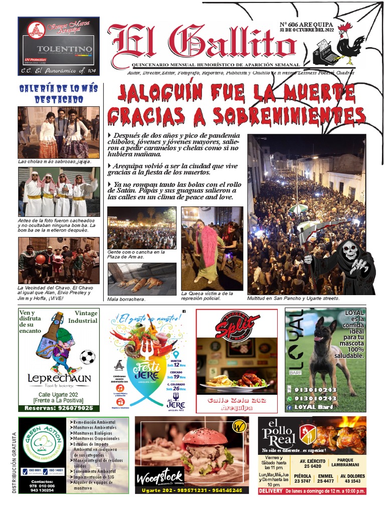 El Gallito-606 INTERNET | PDF