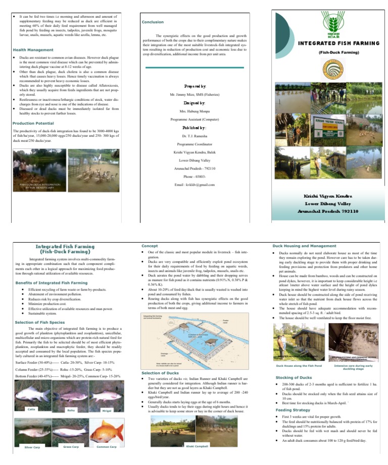 Integrated Fish-Duck Farming Guide | PDF | Plankton | Pond