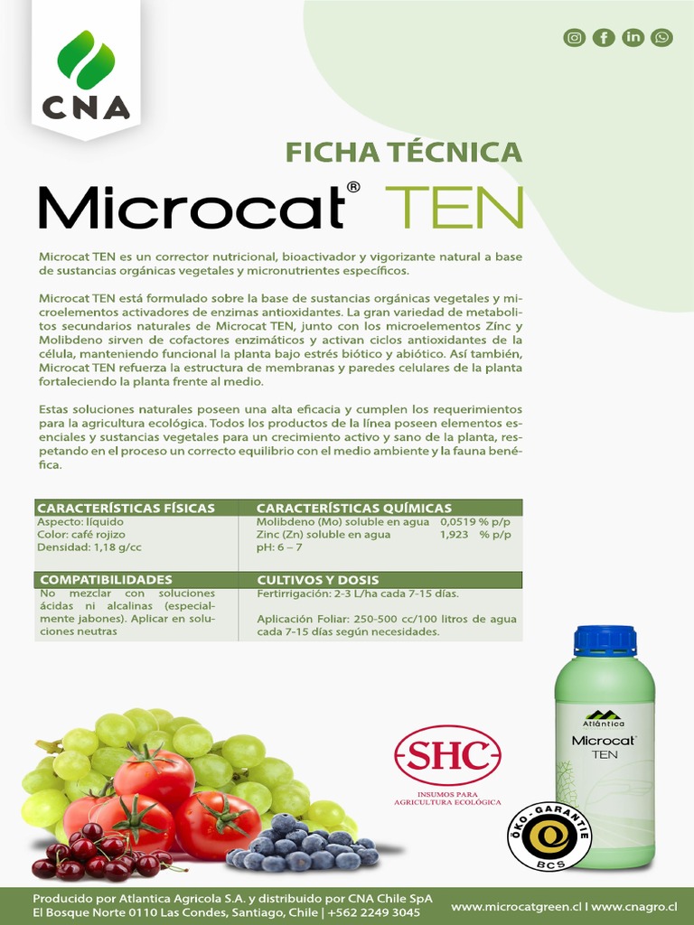 Ficha Tecnica Microcat TEN - FINAL | PDF