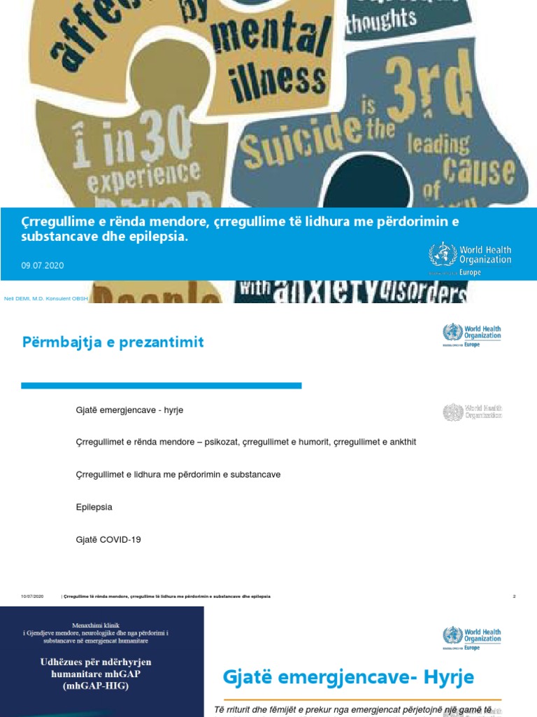 Webinar 7 Neli Demi Presentation | PDF