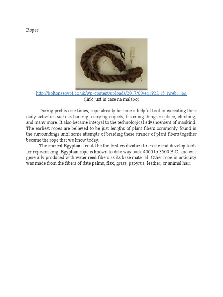 The Origins and Early Uses of Rope in Prehistoric Times and Ancient ...