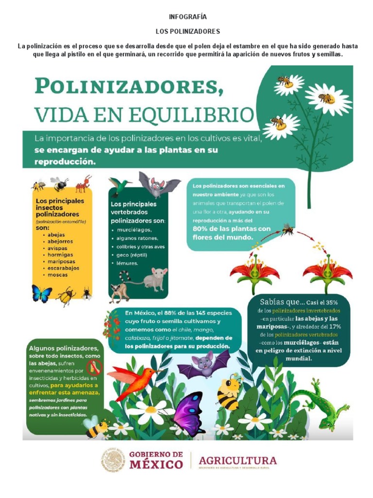 Infografía Pólinizadores | PDF