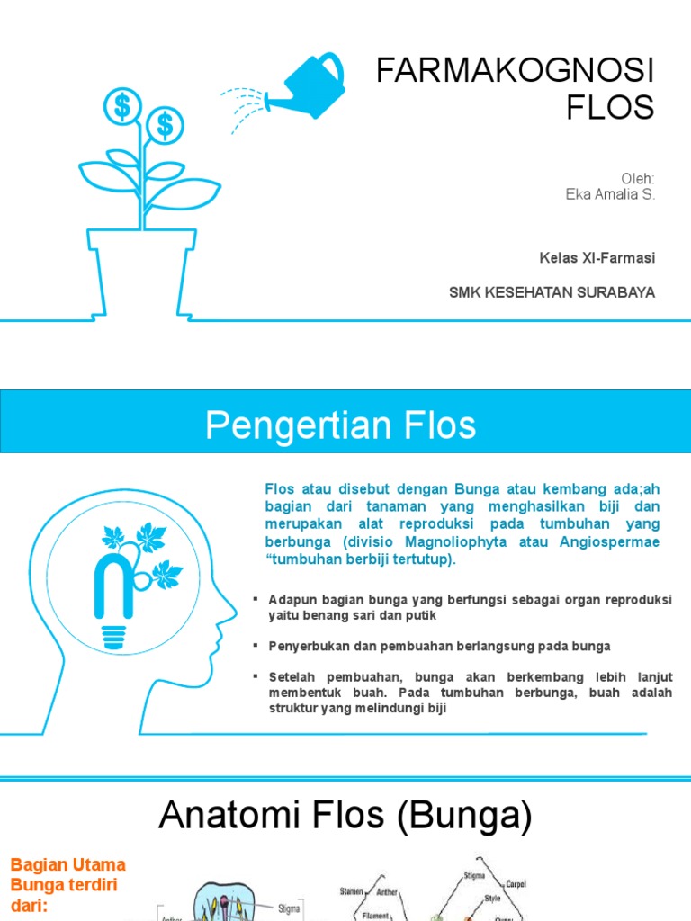 Pengertian dan Contoh Flos dalam Farmakognosi | PDF