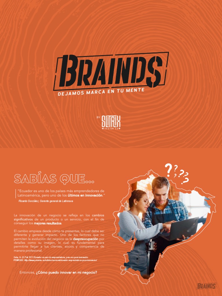 Proyecto Brainds Slitrix Designer | PDF | Publicidad | Marca