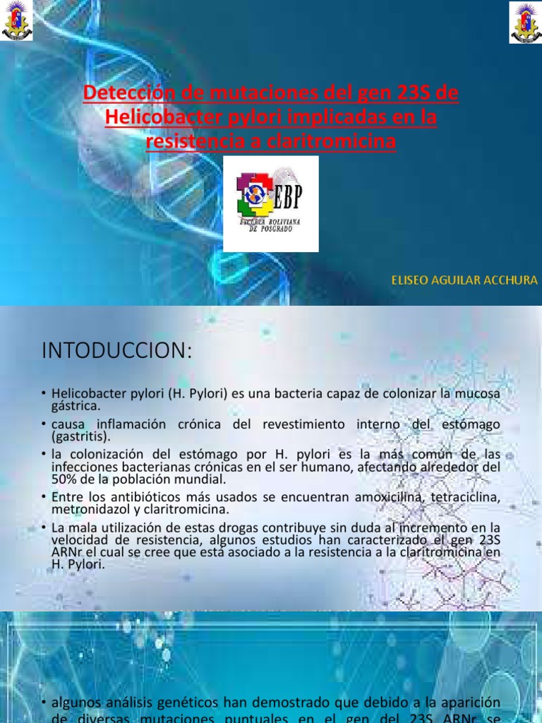 Detección de Mutaciones Del Gen 23S de Helicobacter | PDF
