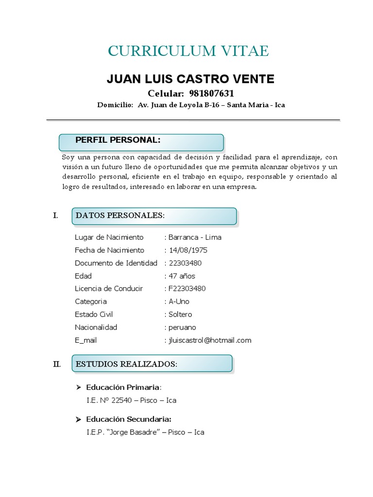 Curriculum Vitae Juan Luis Castro Vente | PDF