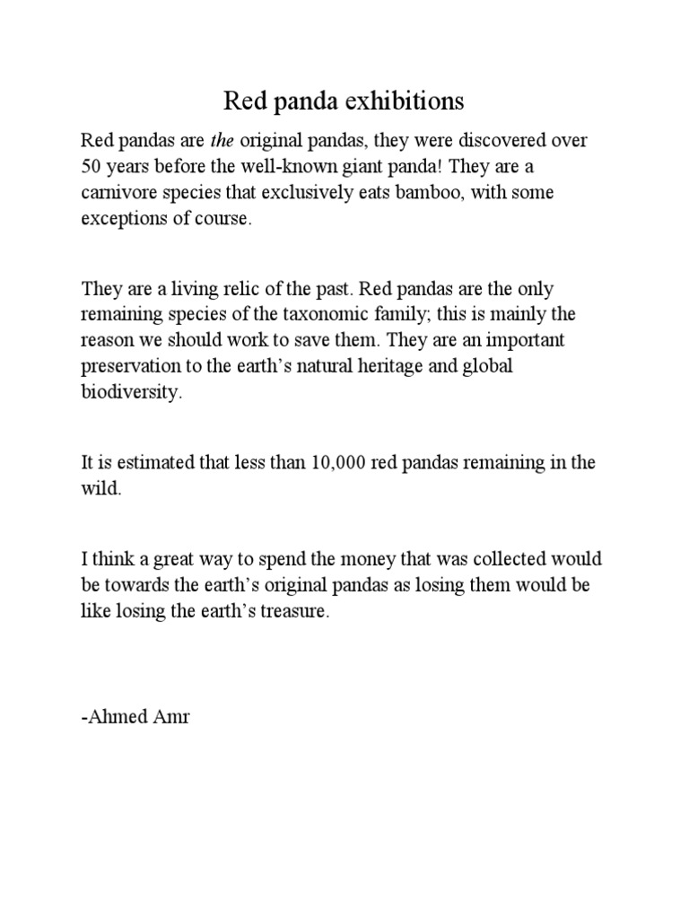 Ahmed Amr 8B-Letter | PDF | Home & Garden
