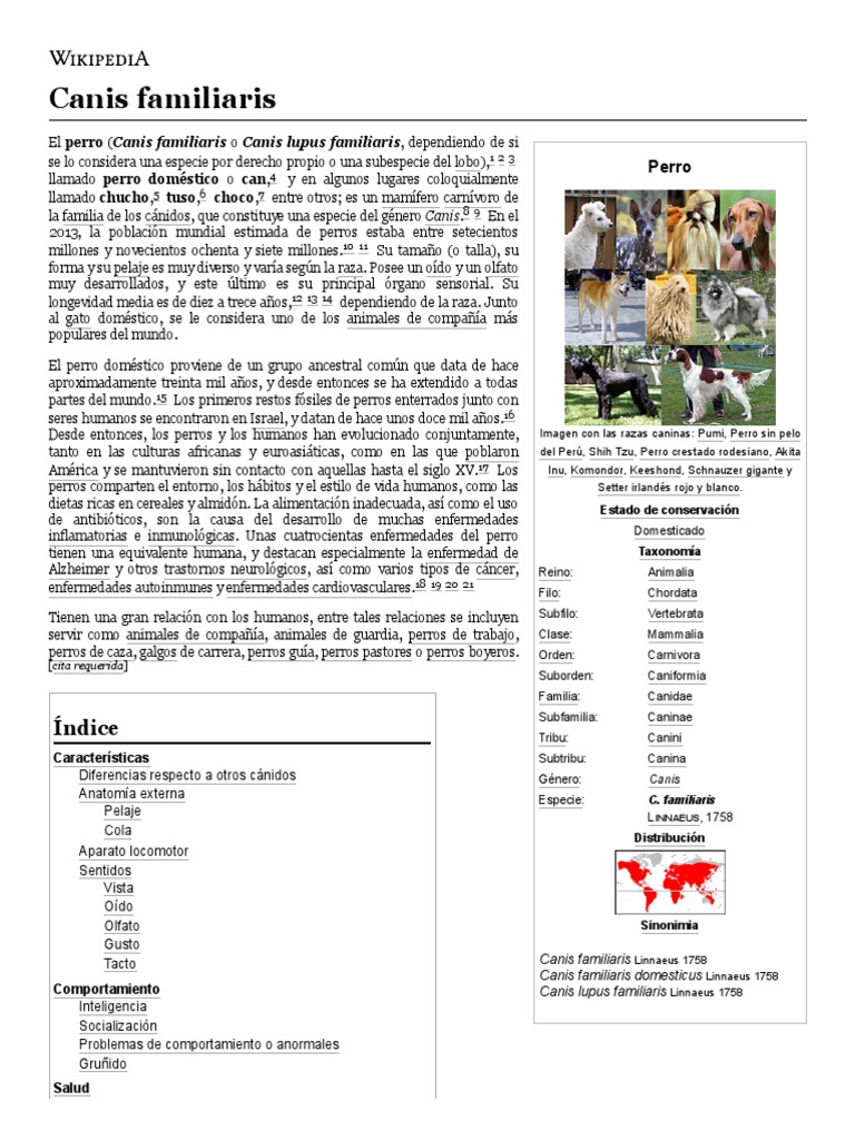 Canis Familiaris - Wikipedia, La Enciclopedia Libre | PDF