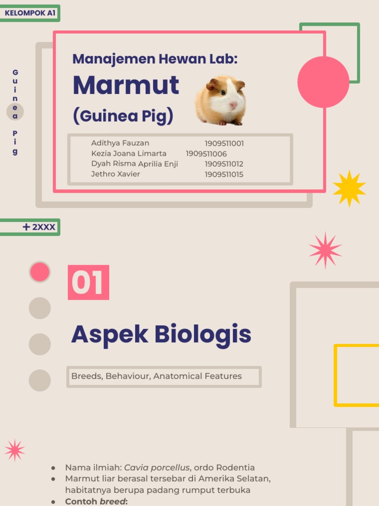Manajemen Hewan Lab Marmut | PDF | Sains & Matematika