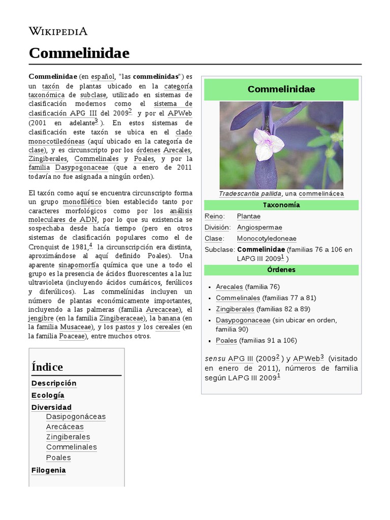 Commelinidae | PDF | Plantas | Botánica