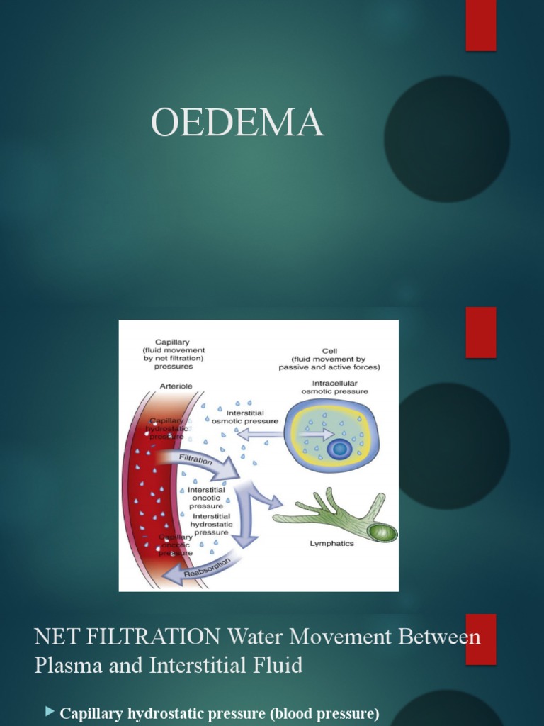 Oedema Bleeding Hematoma | PDF | Coagulation | Bleeding