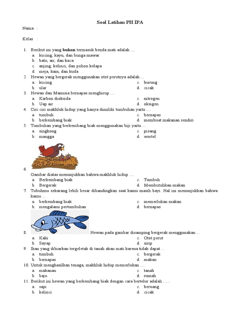 Soal Latihan PH IPA | PDF