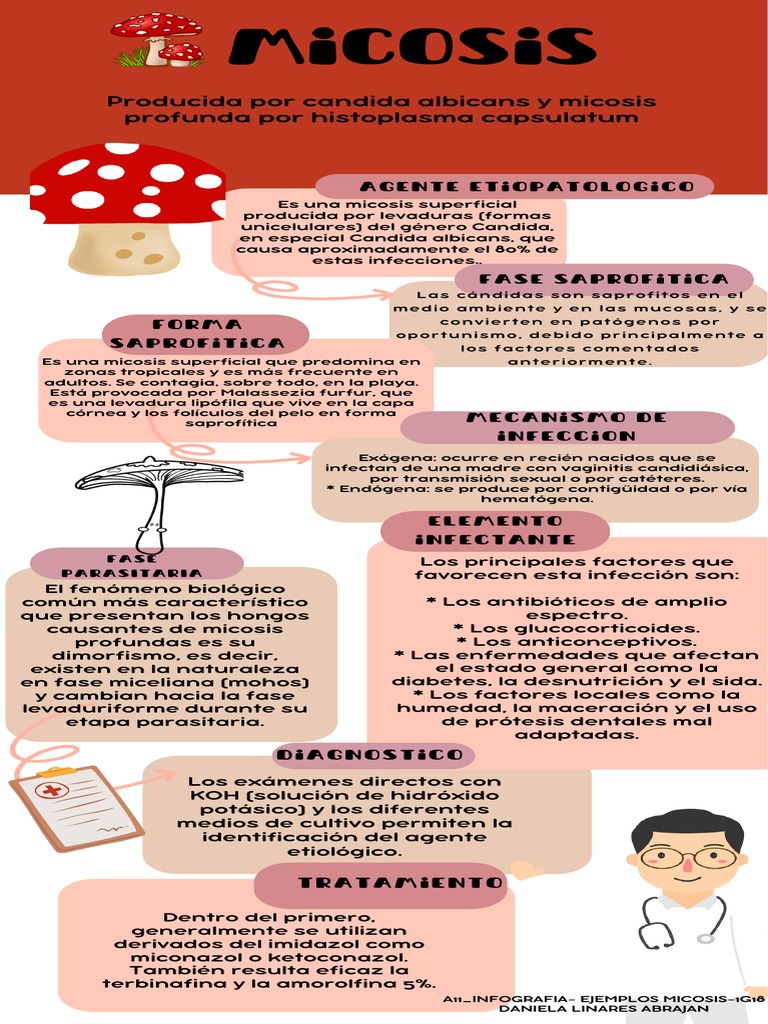 A11 - Infografia - Ejemplos de Micosis - 1G18 | PDF | Candida (hongo ...