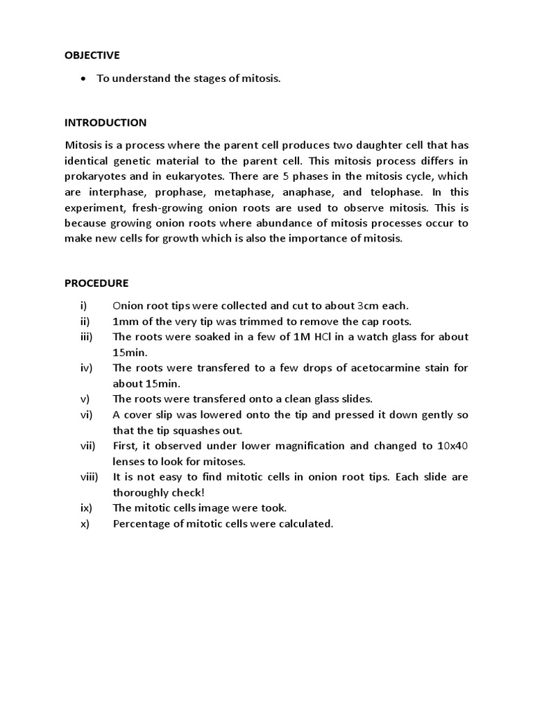 BMS 415 Lab Report Experiment 4 Mitosis | PDF | Science & Mathematics