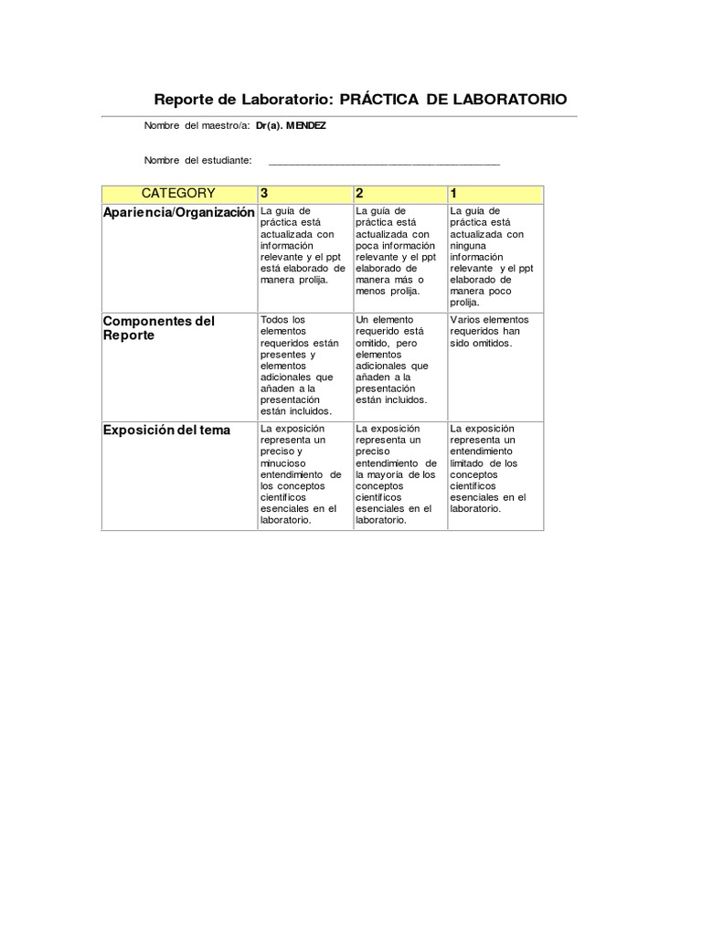 Rúbrica Práctica de Laboratorio | PDF