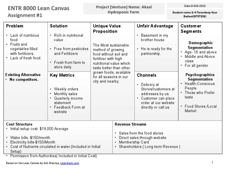 Lean Canvas Template Taran | PDF
