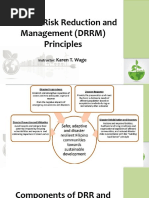 Barangay Eo On The Creation and Organization of BDRRM Committee | PDF ...