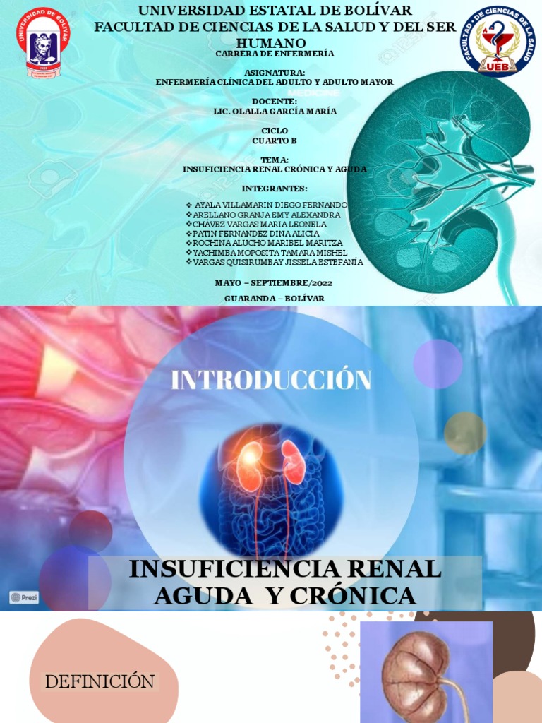 Insuficiencia Renal Aguda y Cronica | PDF | Enfermedad renal crónica | Riñón