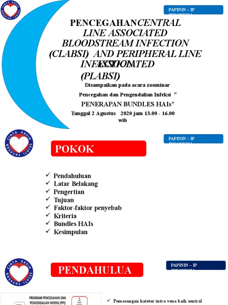 Clabsi and Plabsi Bundles | PDF