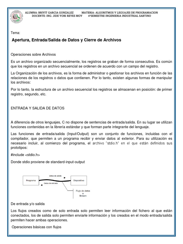Entrada y Salida de Datos, Algoritmos | PDF | Archivo de computadora ...