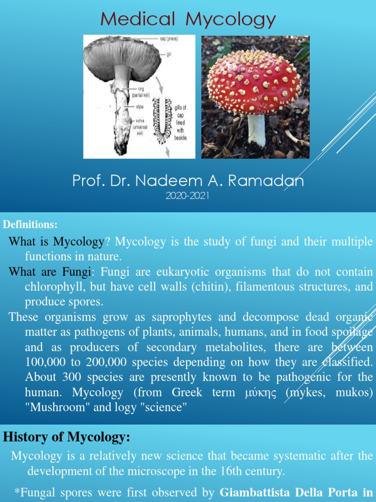 Mycology Lecture-I | PDF | Fungus | Mycology