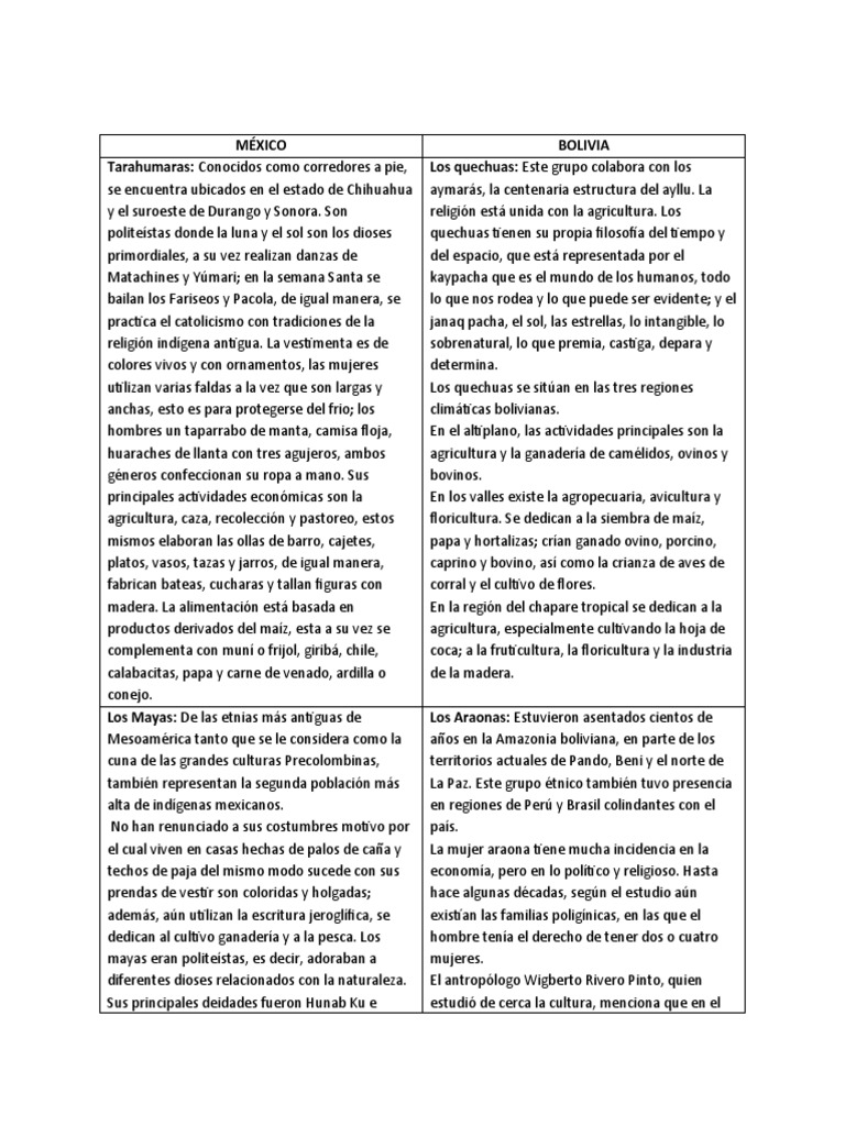 Etnicidad y Raza | PDF