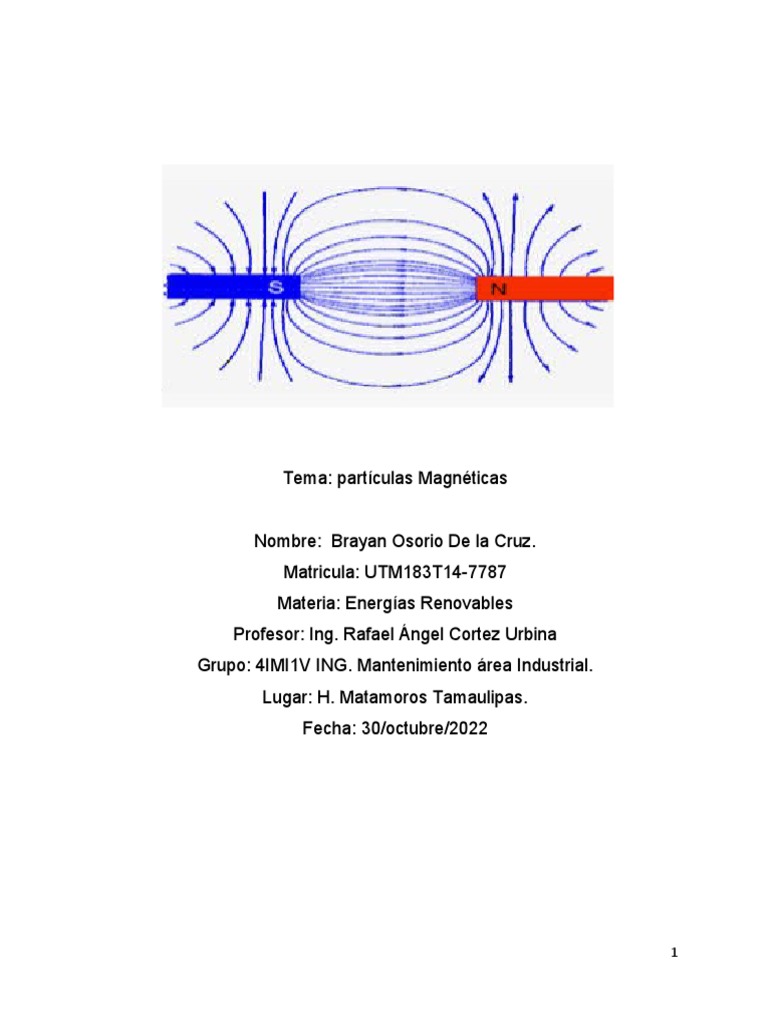 Particulas Magenticas | PDF | Corriente eléctrica | Campo magnético
