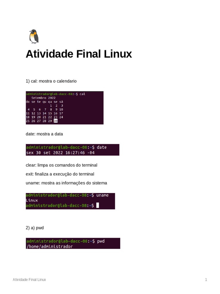 Atividade Final Linux | PDF | Informática
