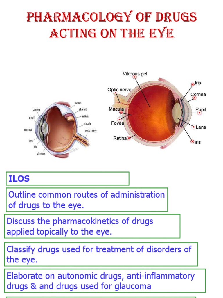 1 Drugs Acting On The Eye - Oke | PDF | Glaucoma | Clinical Medicine