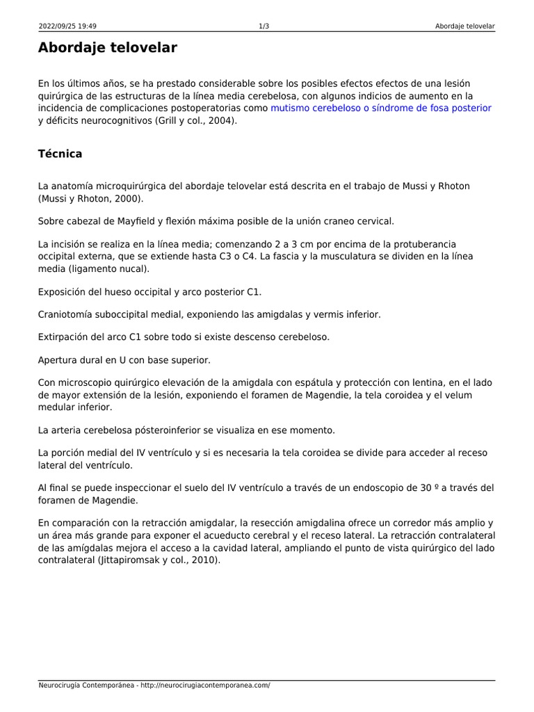Abordaje Telovelar | PDF | Cerebro | Anatomía humana