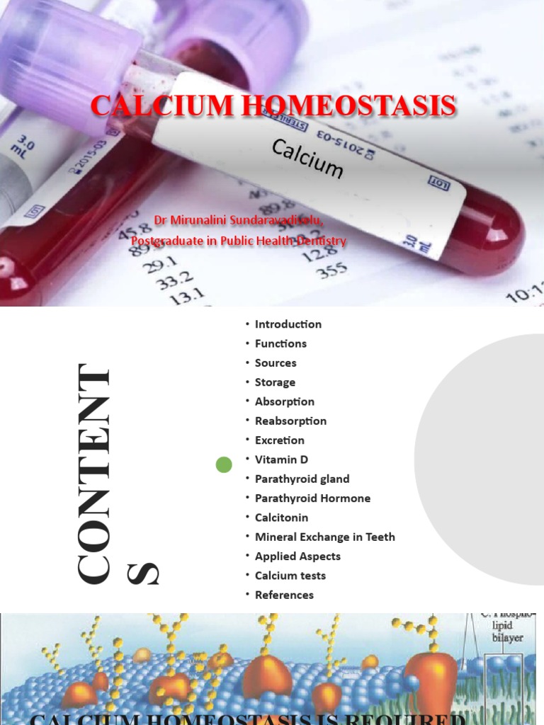 Calcium Homeostasis Regulation Explained | PDF | Bone | Cell Biology