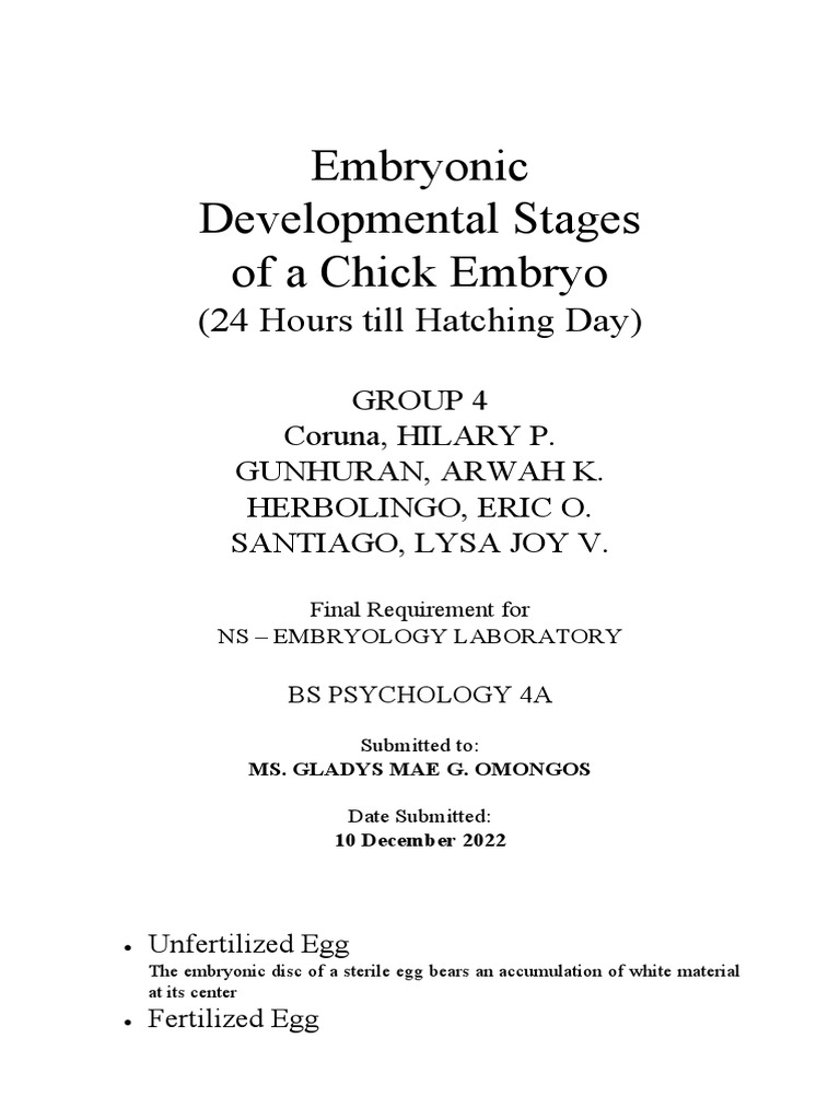 Embryonic Developmental Stages of A Chick Embryo | PDF | Heart | Brain