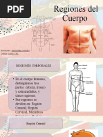 Términos de Lateralidad en Anatomía | PDF | Términos anatómicos de ...