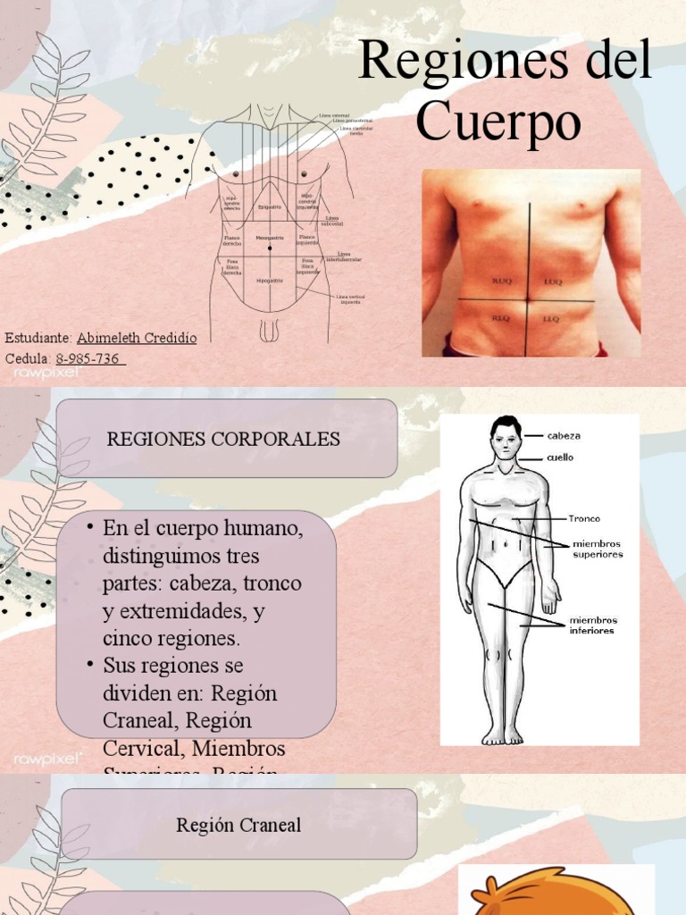 Regiones del Cuerpo Humano | PDF