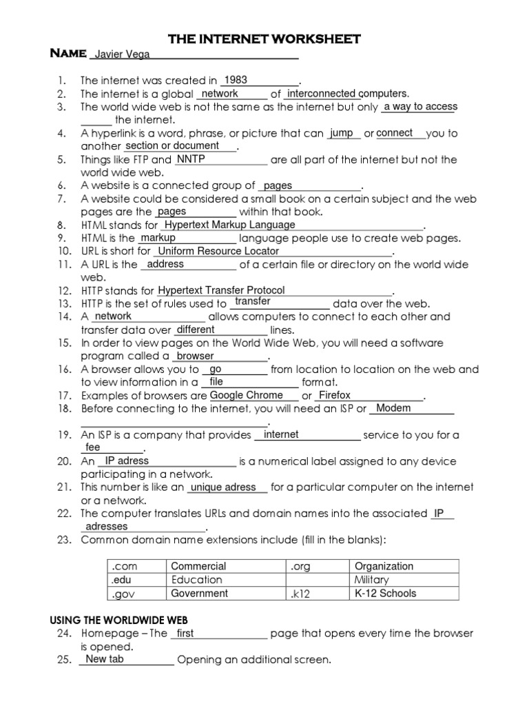 The Internet Info Worksheet | PDF | World Wide Web | Internet & Web