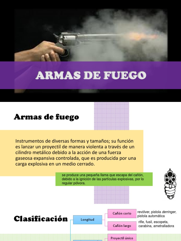 8b. Armas de Fuego | PDF | Cartucho (armas de fuego) | Munición