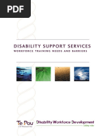 AASW Practice Standards 2013 | PDF | Social Work | Evaluation