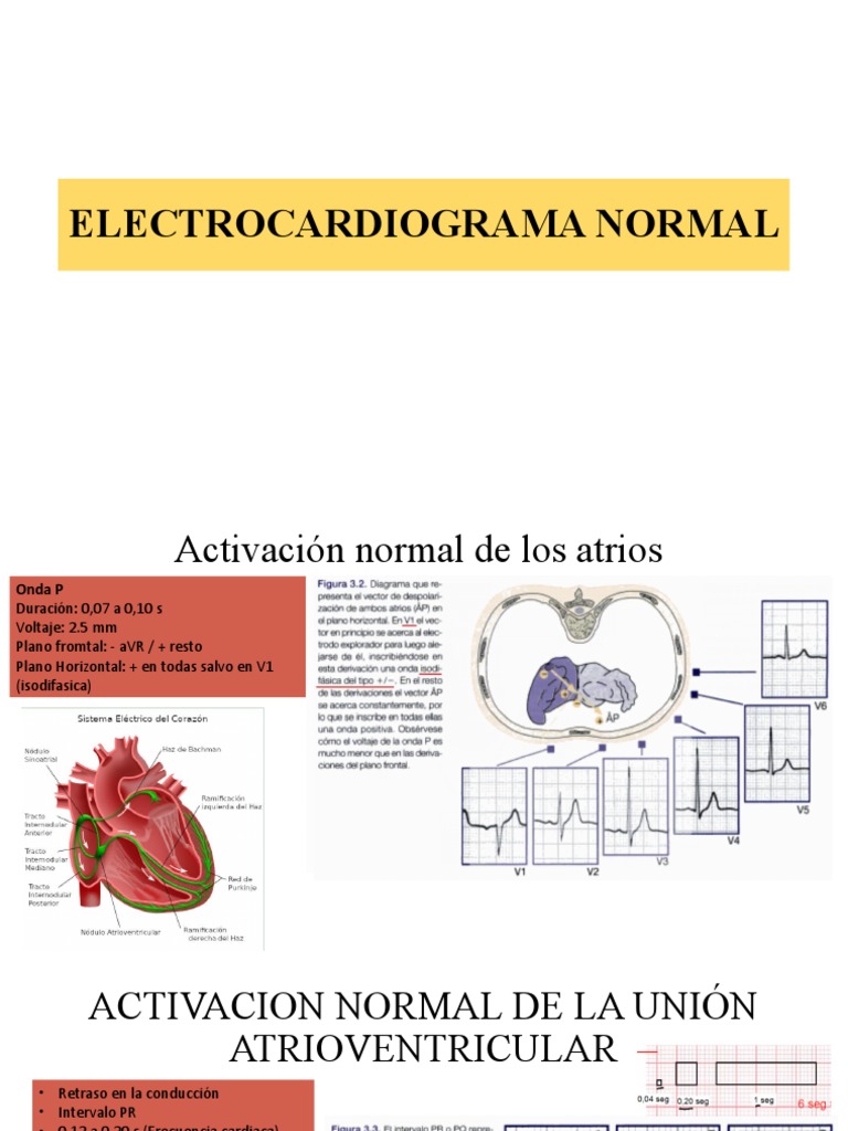 Ekg Normal | PDF | Electrocardiografia | Imagenes medicas