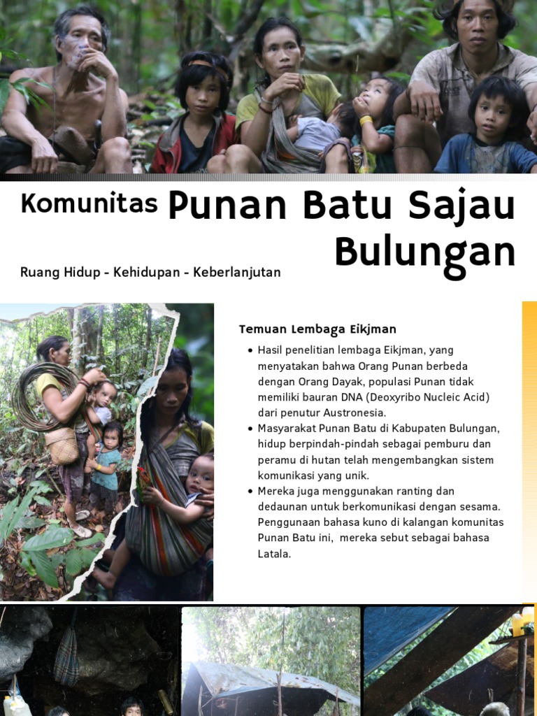 Kehidupan dan Tantangan Orang Punan Batu | PDF