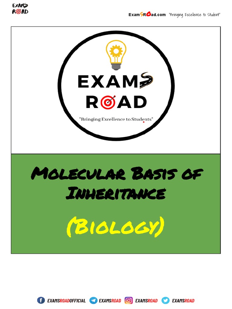Notes On Molecular Basis of Inheritance by ExamsRoad | PDF | Genetic ...