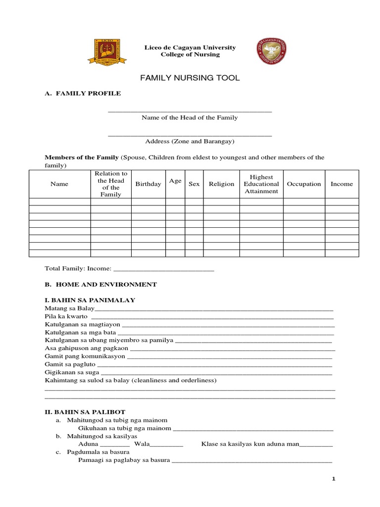 Family Nursing Tool-1 | PDF